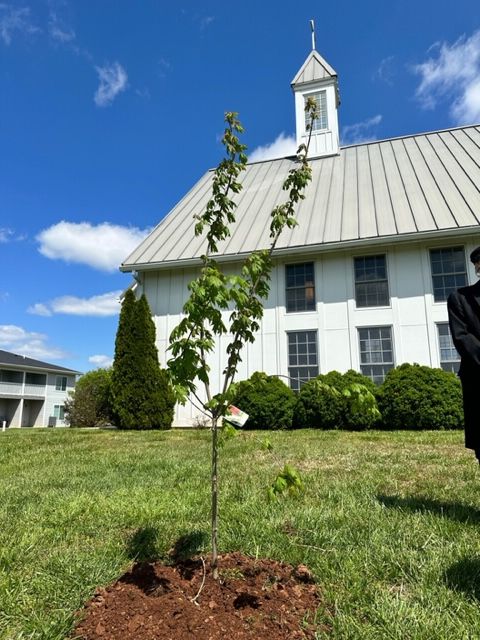 The Communion Forest Grows in DioMO :: Episcopal Diocese of MO